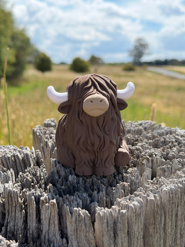 ‘Mackenzie’ the Highland - Eclectic Equine & Country