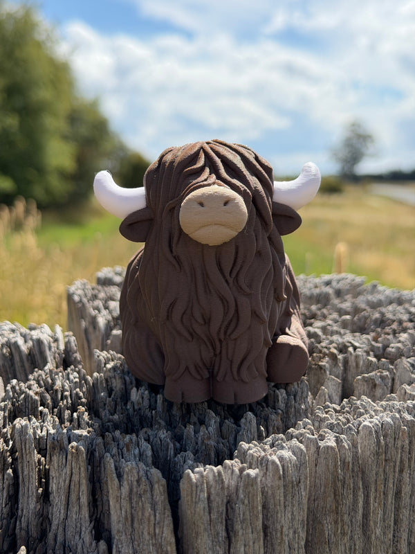 ‘Mackenzie’ the Highland - Eclectic Equine & Country